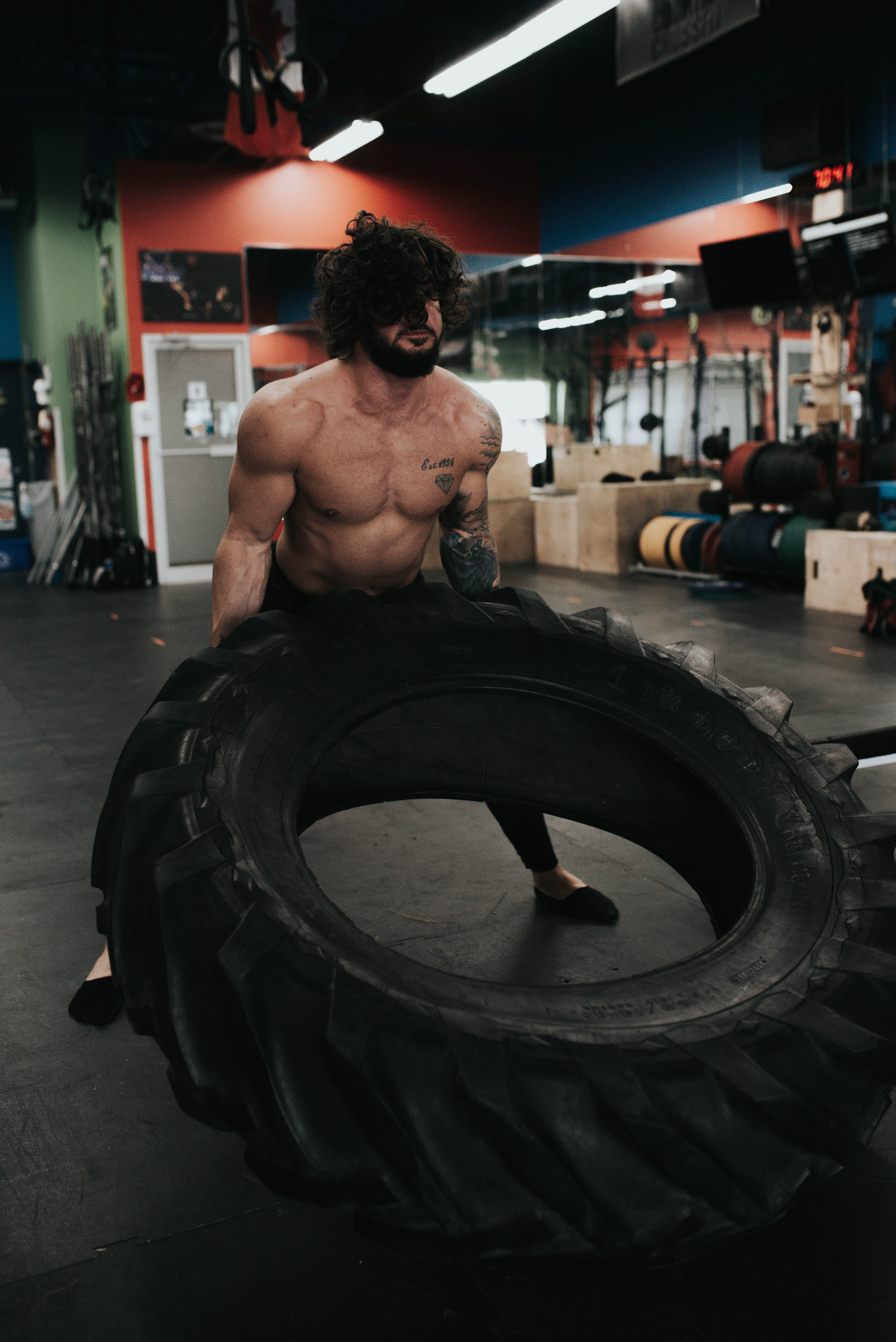 Build & Shred Program - House of Performance